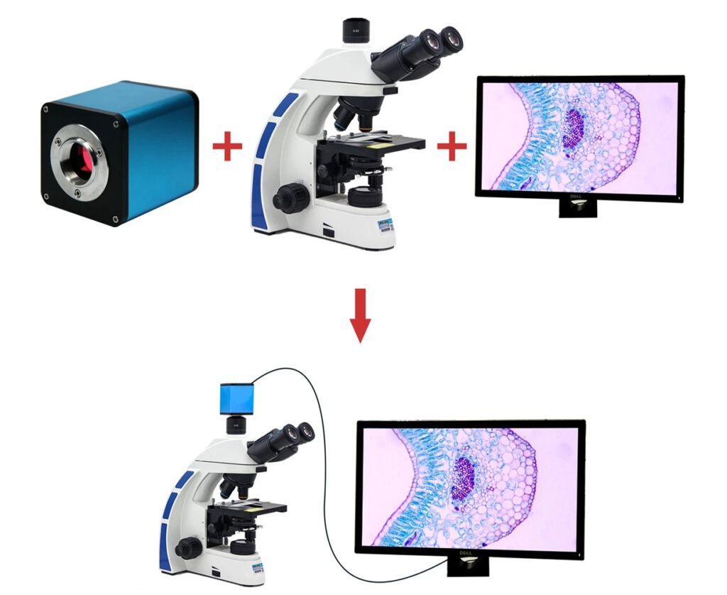 Autofocus Microscope Camera – Eert Electronics
